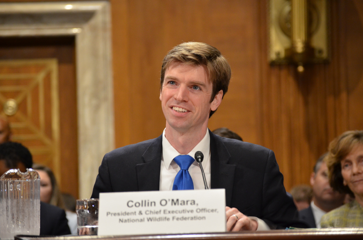 After decade in D.C., O'Mara aims to build a legacy in Delaware ...