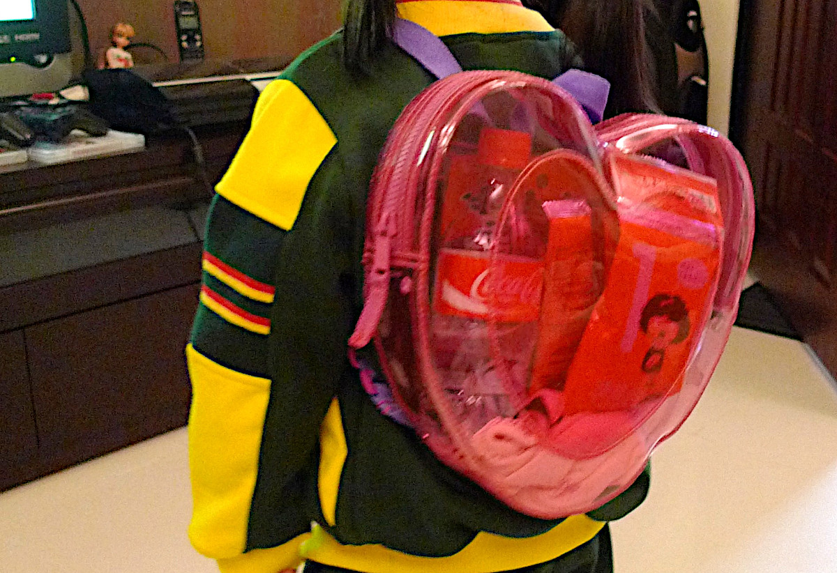 Delaware schools to use clear bookbags, weapon detectors, more